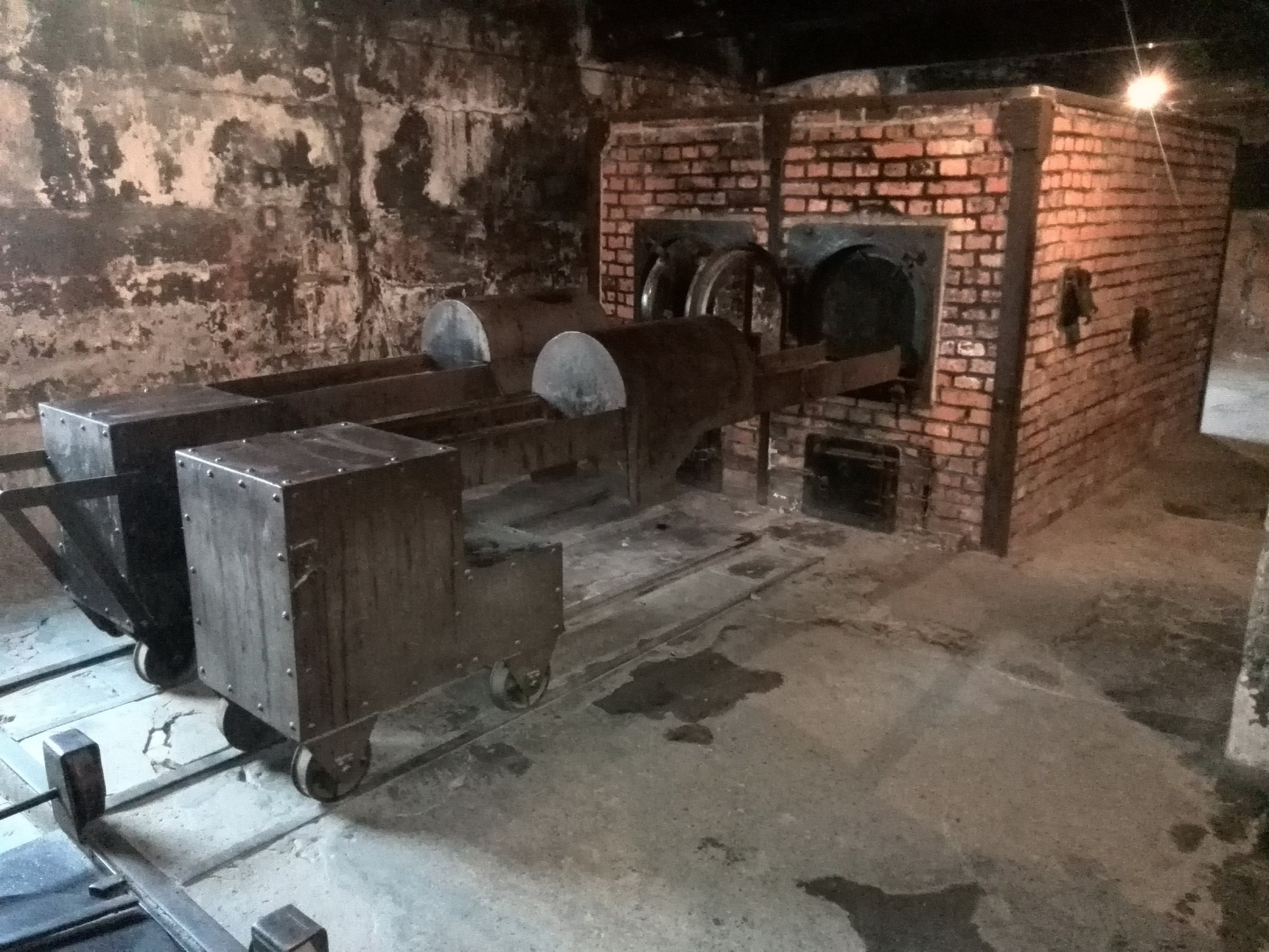 Logor smrti 70 godina kasnije - Megafon