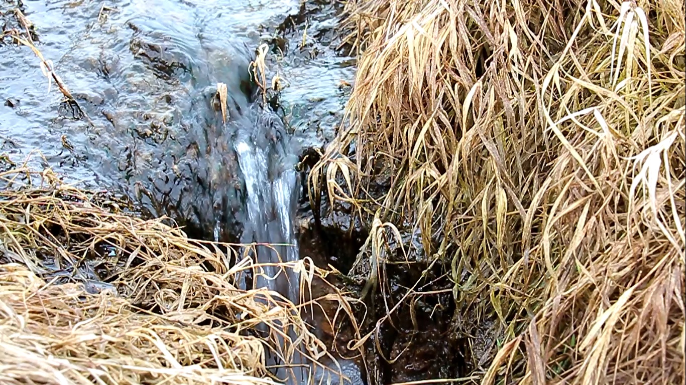 Blago sela Viča - Megafon