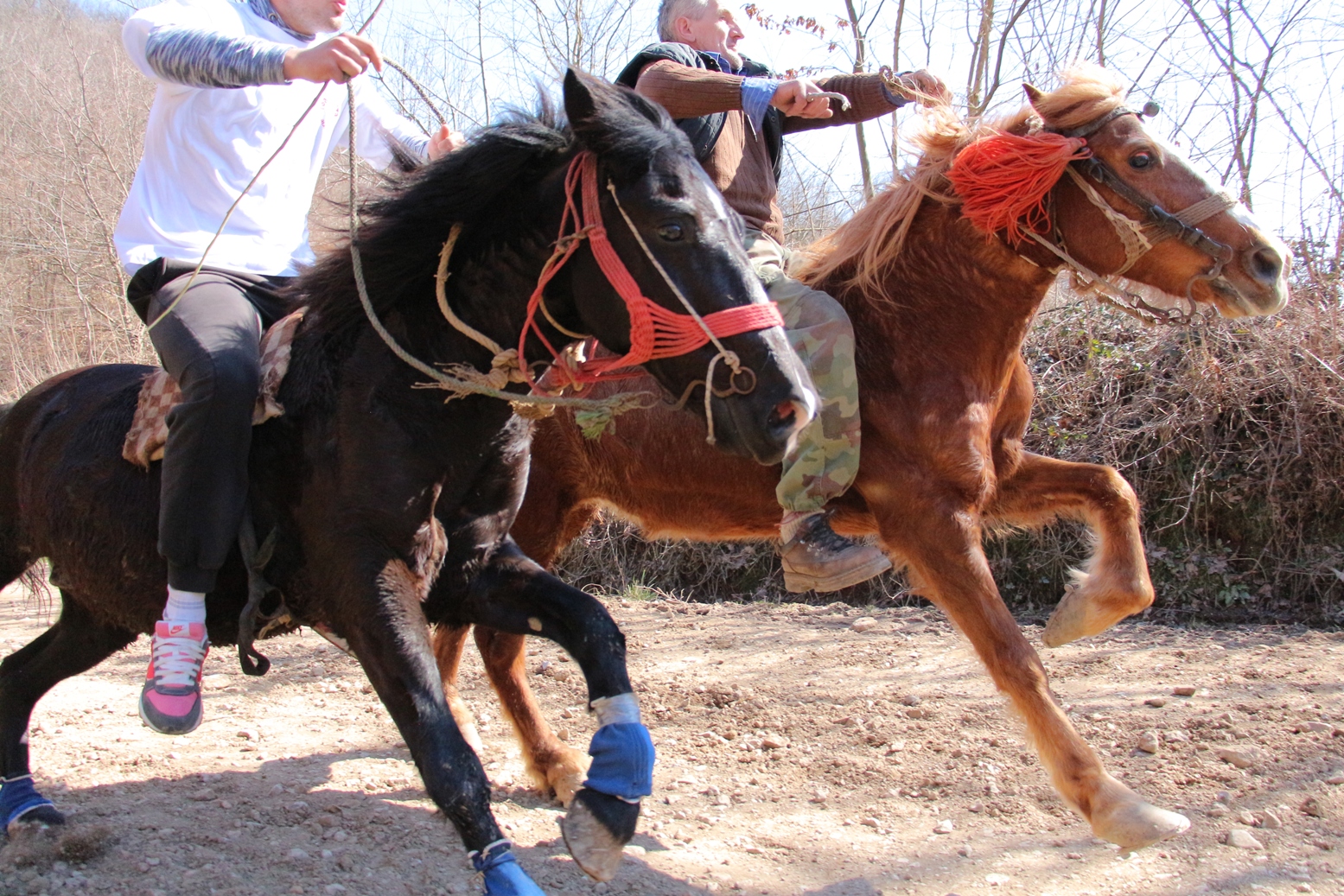 Todorova subota u Malom Krčimiru - Megafon