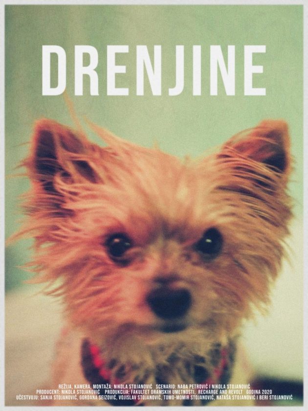 Projekcija filma "Drenjine" u Niškom kulturnom centru